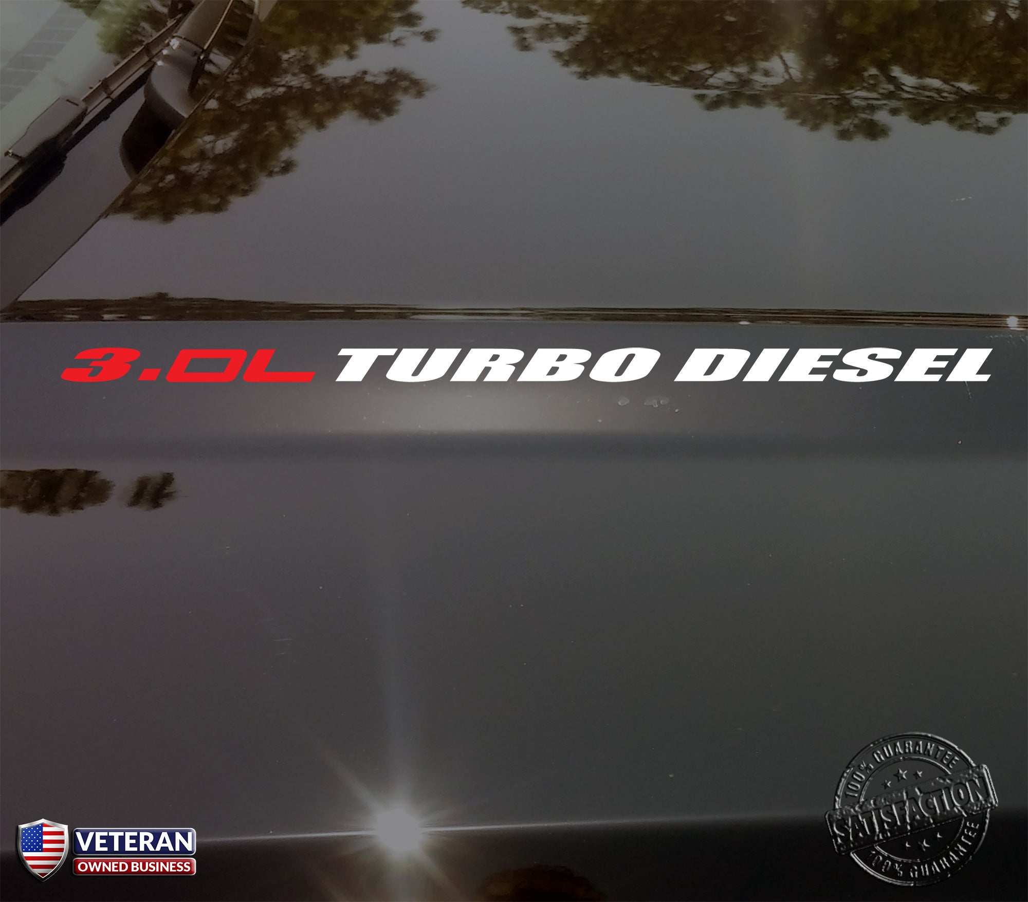 3.0L TURBO DIESEL Hood Vinyl Decals Fits: Dodge Ram 1500 Cummins EcoDi ...